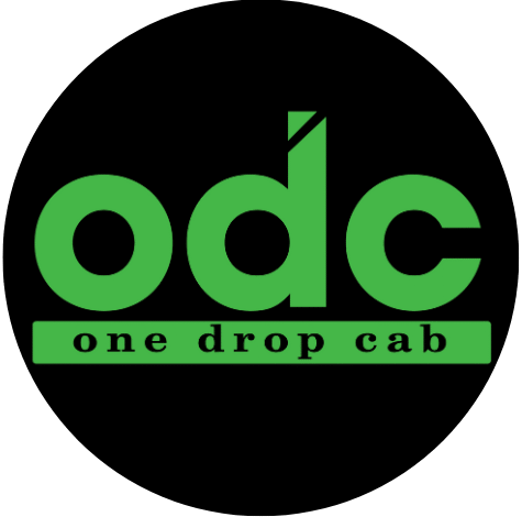One Way Drop Taxi Service From Chennai to Coimbatore - One Drop Cab